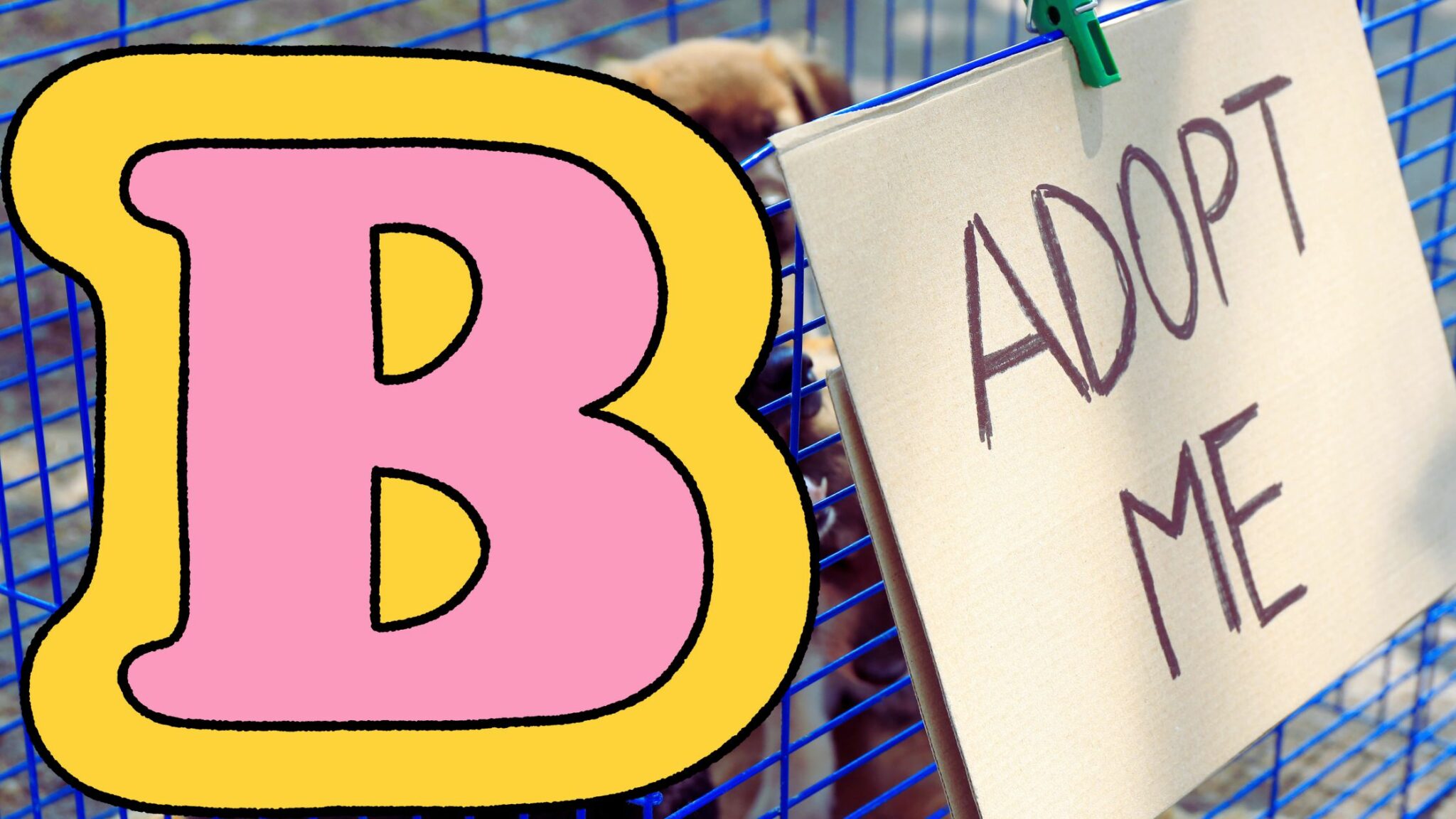 Le Guide Ultime de Baddiehub : Adopter la Culture et le Style Baddie